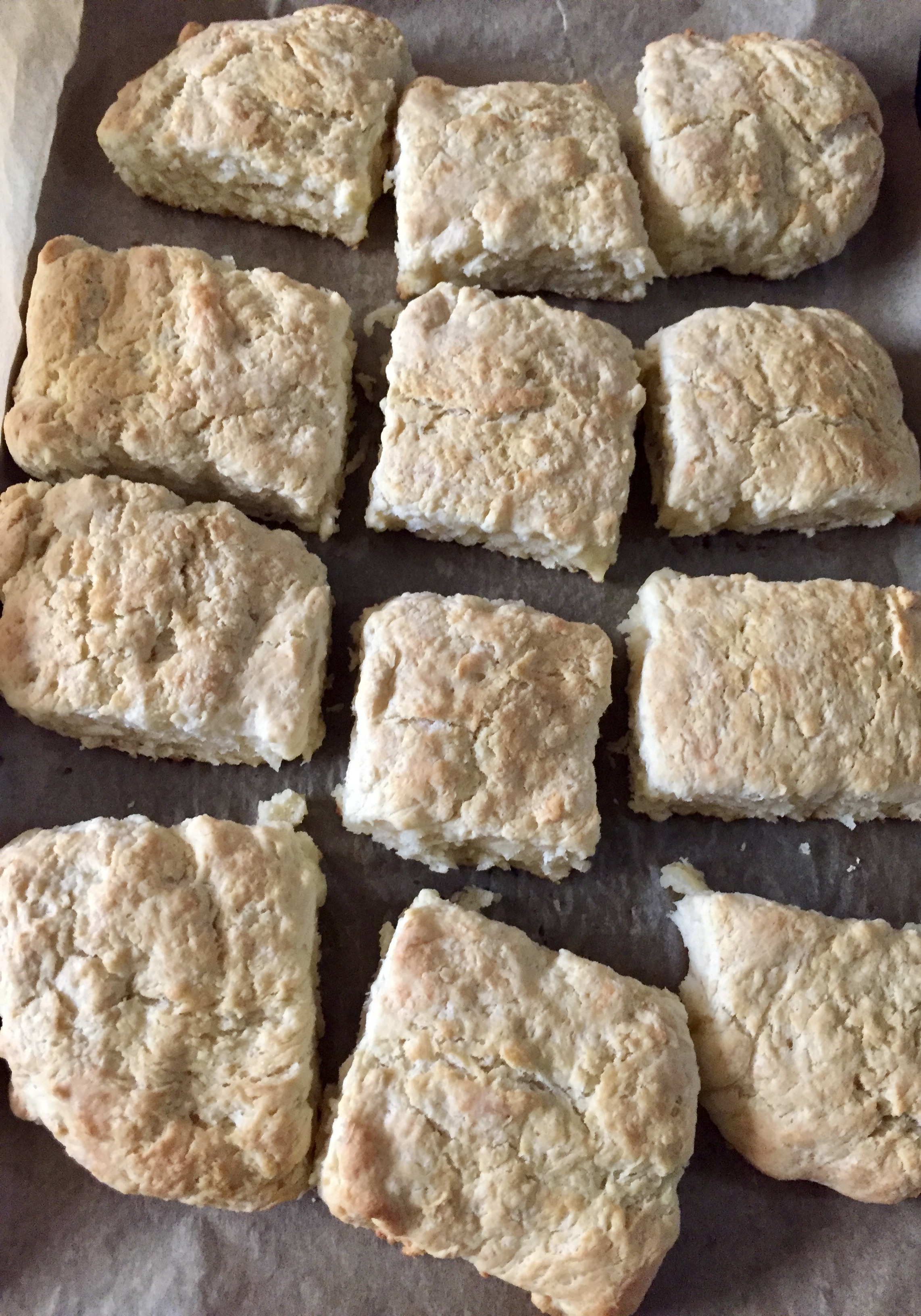 Callie’s Hot Little Biscuits: A Make-At-Home Treat – HOMEMADE IN LA